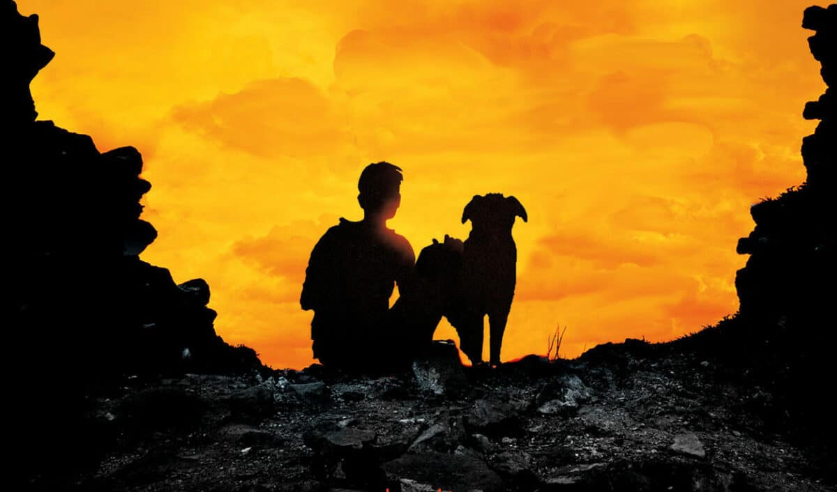 Die Straße (The Road) von Cormac McCarthy - Bücher wie Sterne